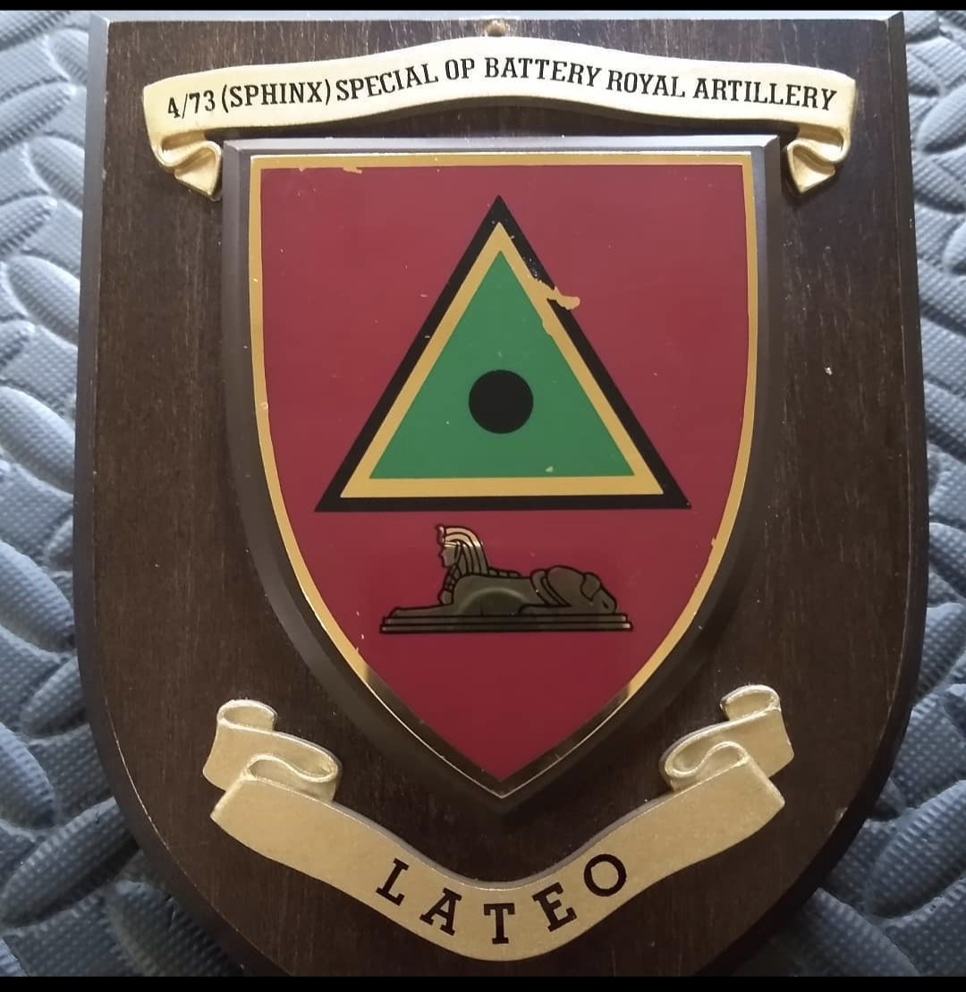 Why Were Stay Behind OPs Introduced Into The Regular Army’s ...