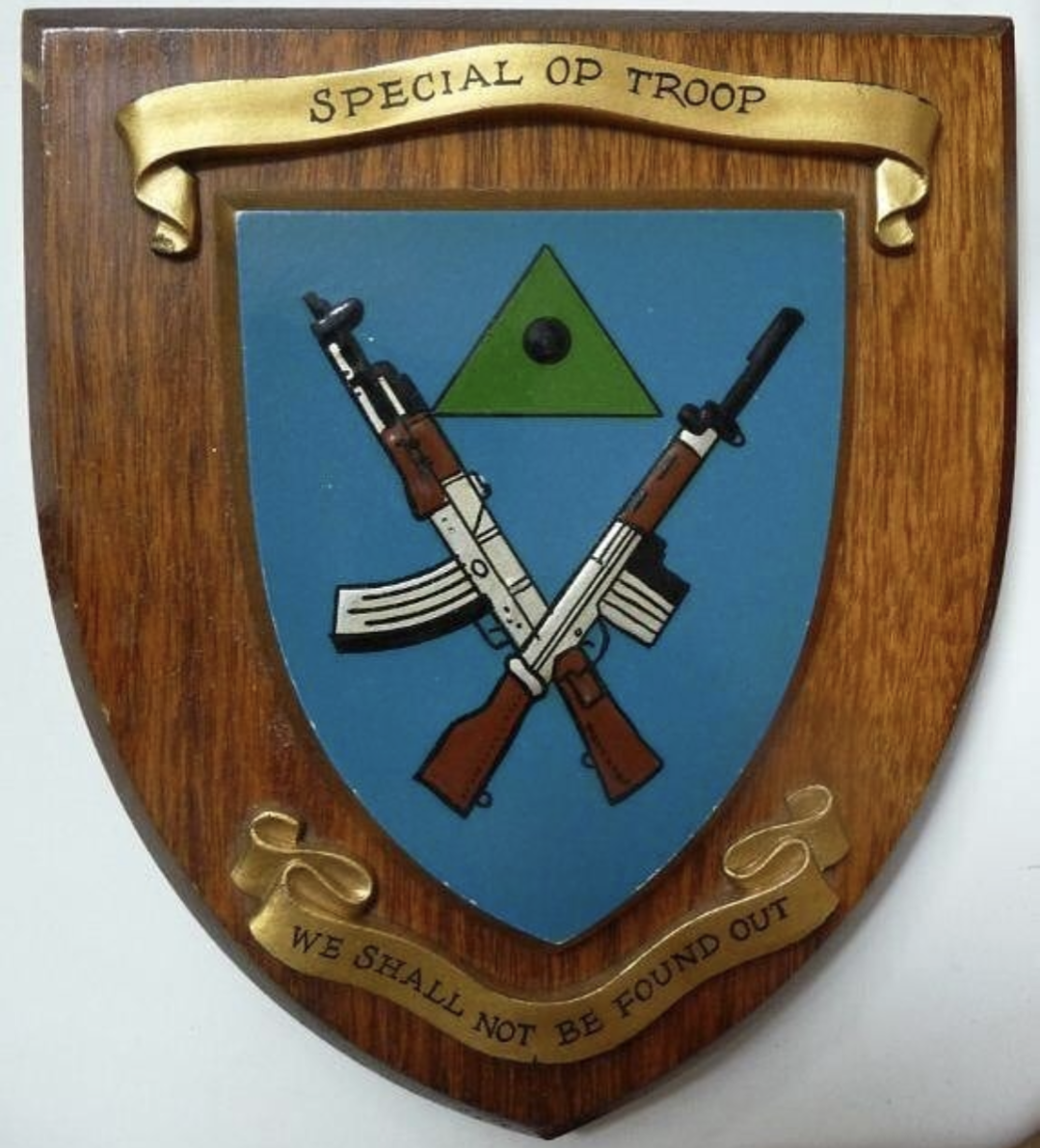 Why Were Stay Behind OPs Introduced Into The Regular Army’s ...